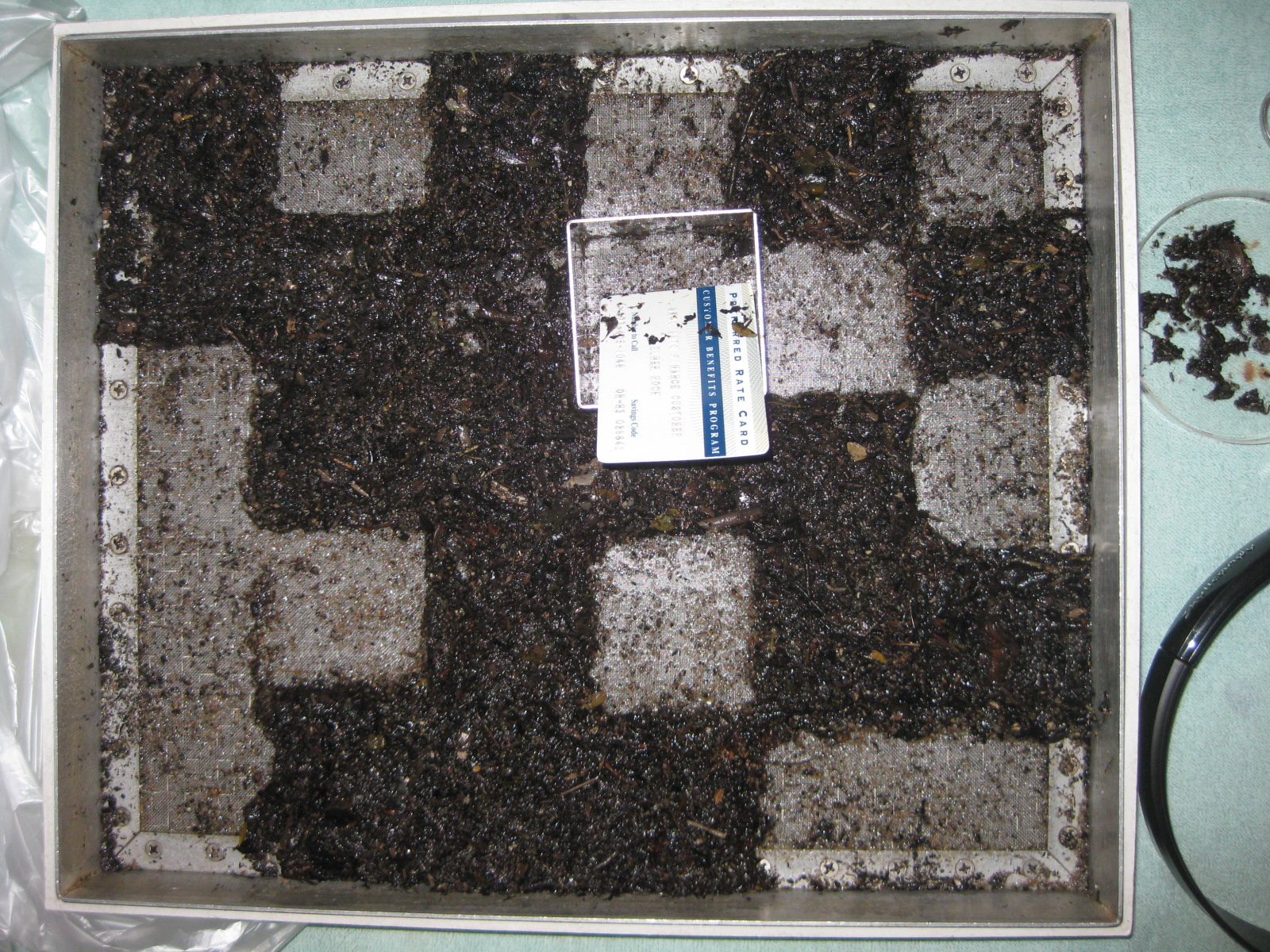 Caton_Tray_partial – Rhithron Associates, Inc.